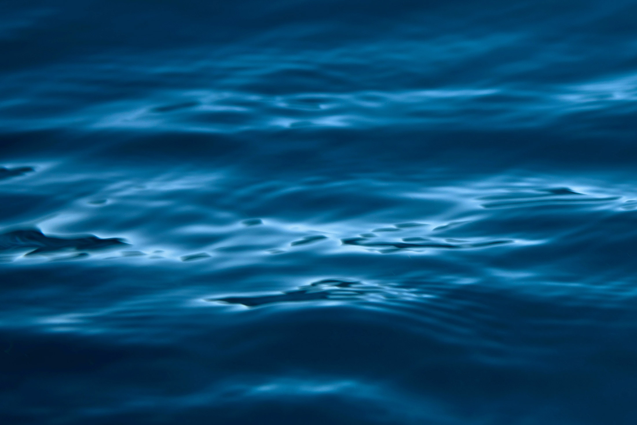 Women in Freshwater and Marine Conservation - Conservation Nation