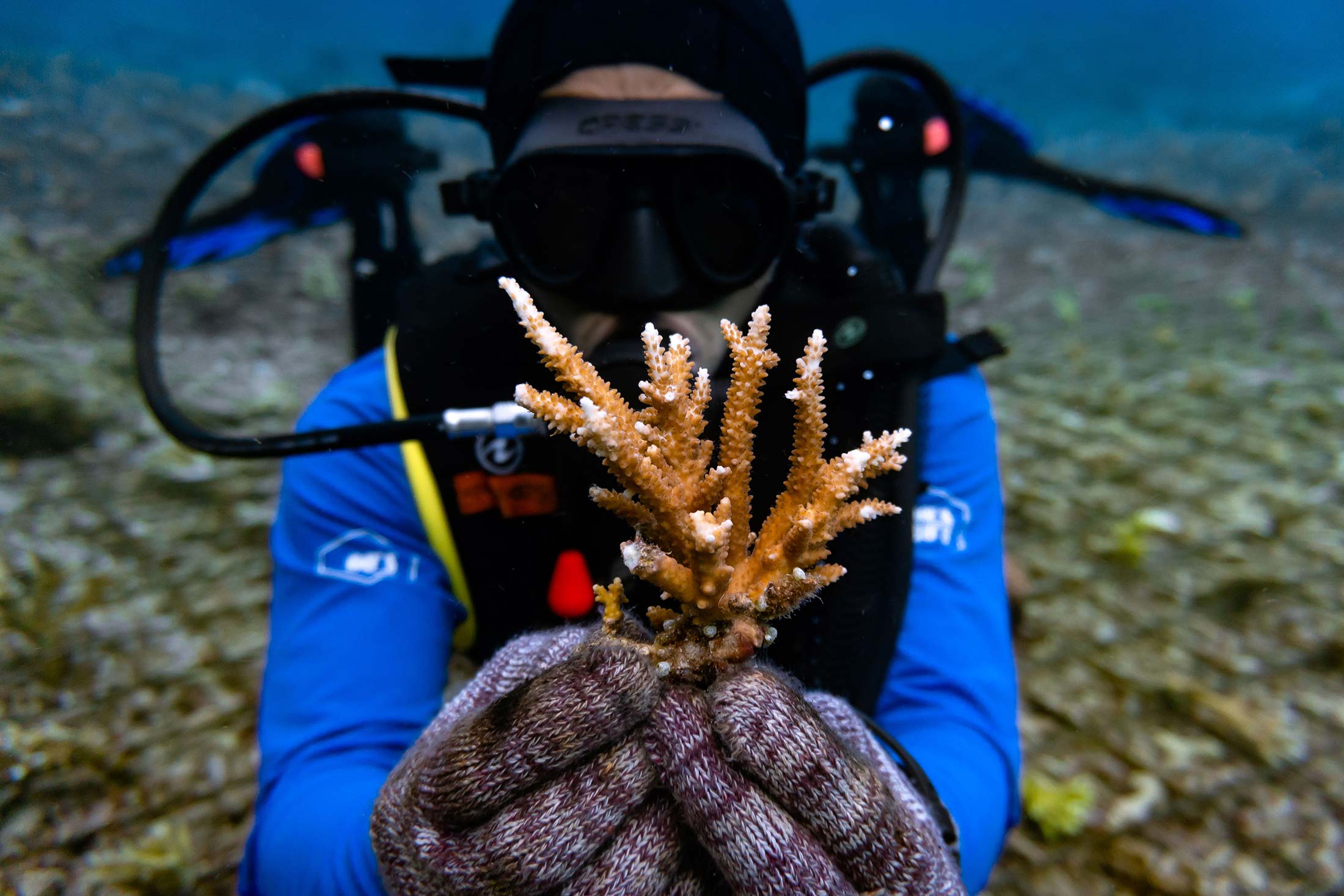 Help Preserve Wildlife from Extinction